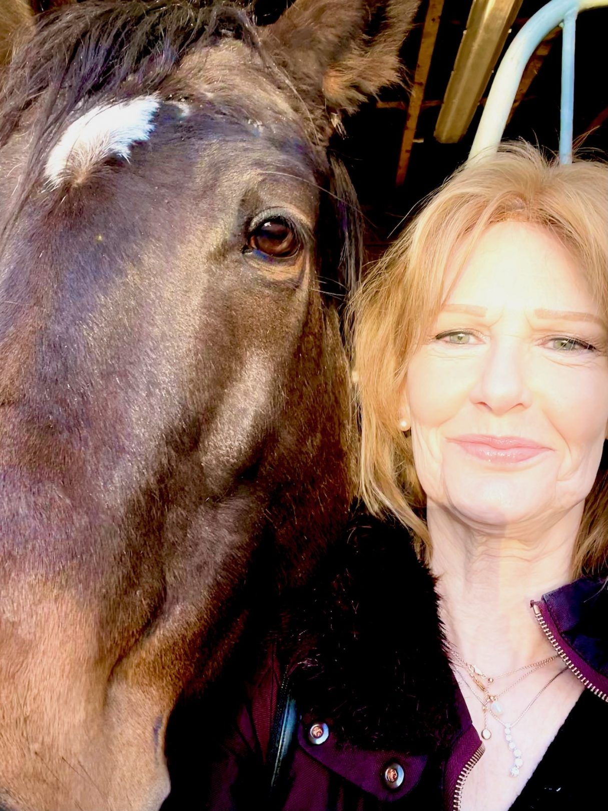 How a former racehorse Waqaas helped his owner through serious illness