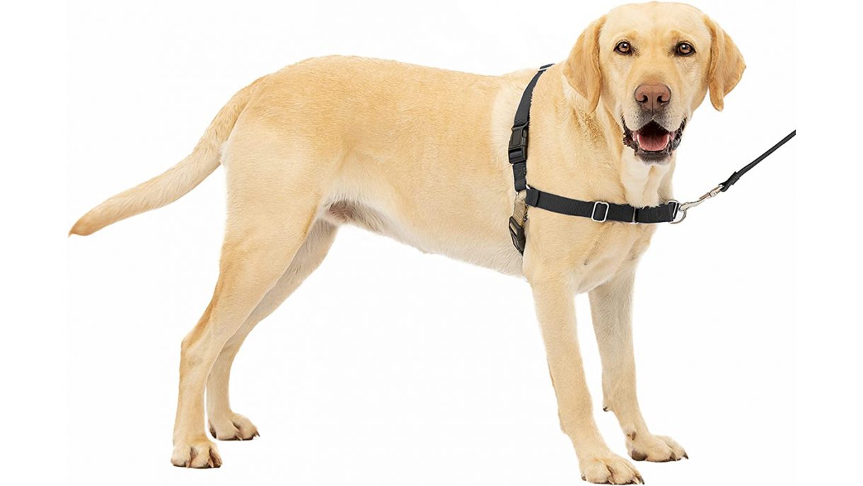 Best dog harness for pulling: control without choking
