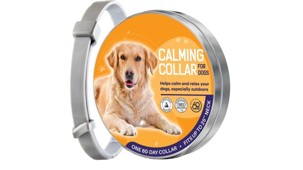 Best calming products for dogs: treats, supplements and beds