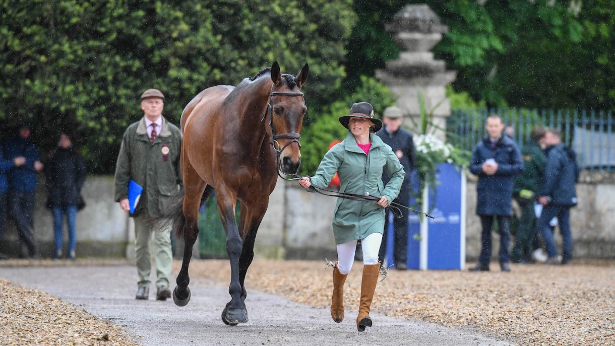 Badminton Horse Trials final trot-up: 30 horses presented