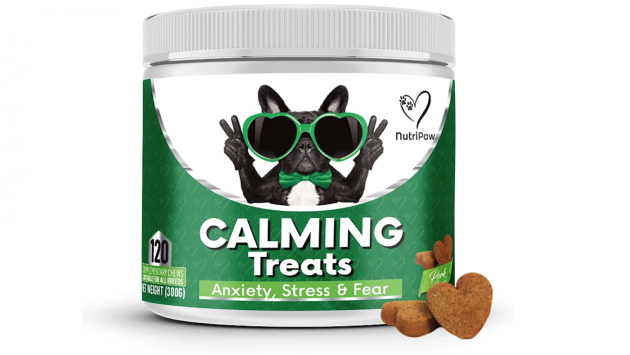 Best calming products for dogs: treats, supplements and beds