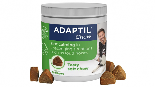 Best calming products for dogs: treats, supplements and beds