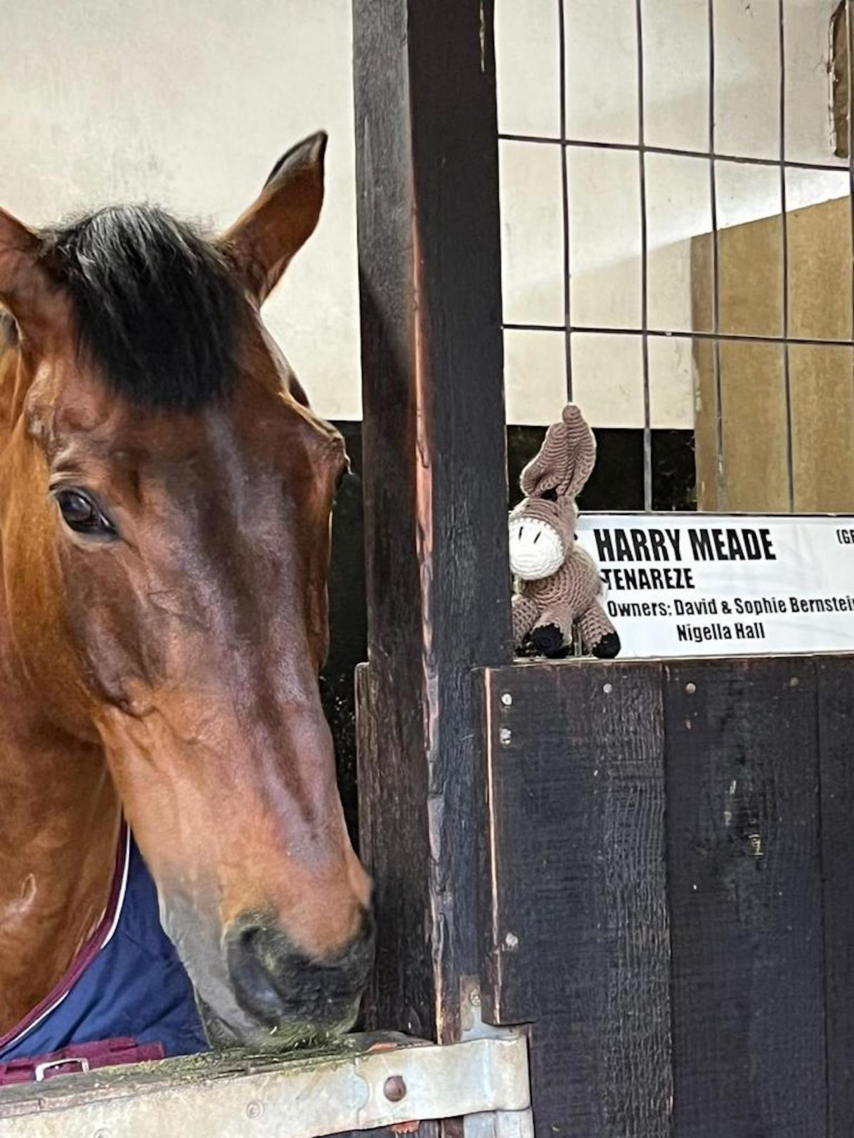 Harry Meade’s groom Jess Errington on the thrill of grooming at Badminton