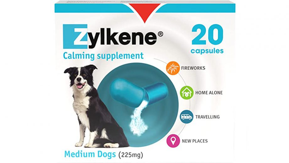 Best calming products for dogs: treats, supplements and beds