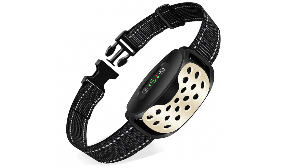 Best dog collars for barking: no-shock, humane deterrent