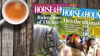 H&H's guide to hogged show cobs - Horse & Hound