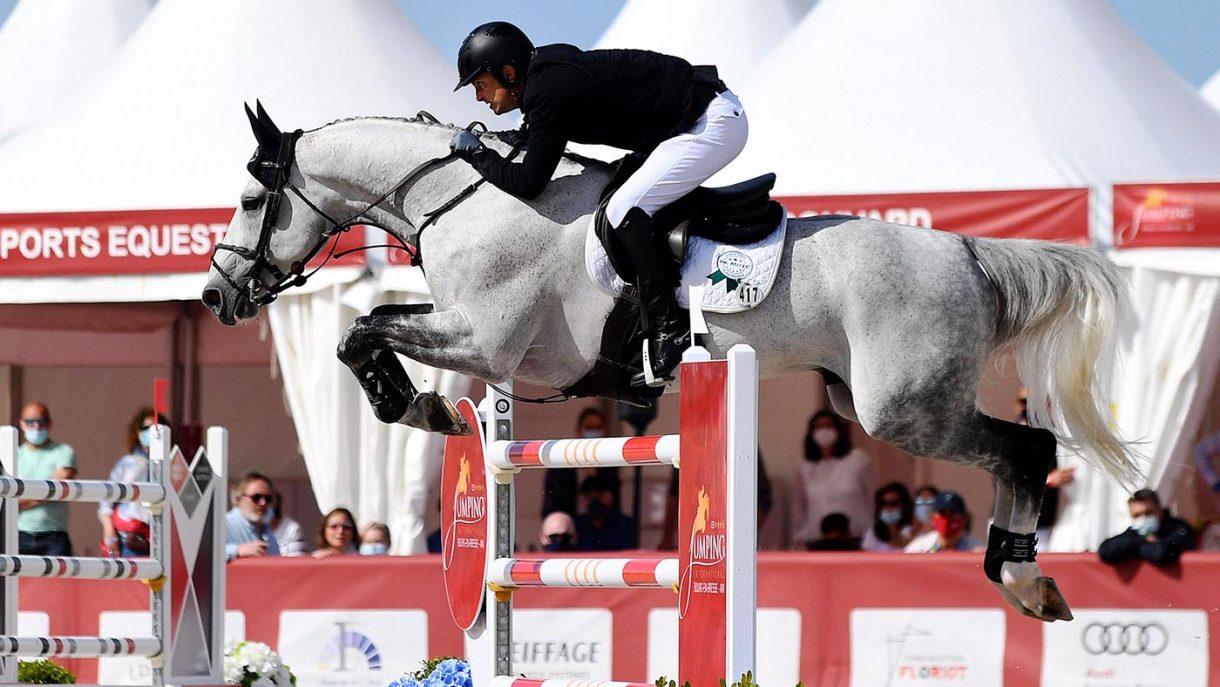 Showjumper El Torreo de Muze dies from colic aged 13 - Horse & Hound