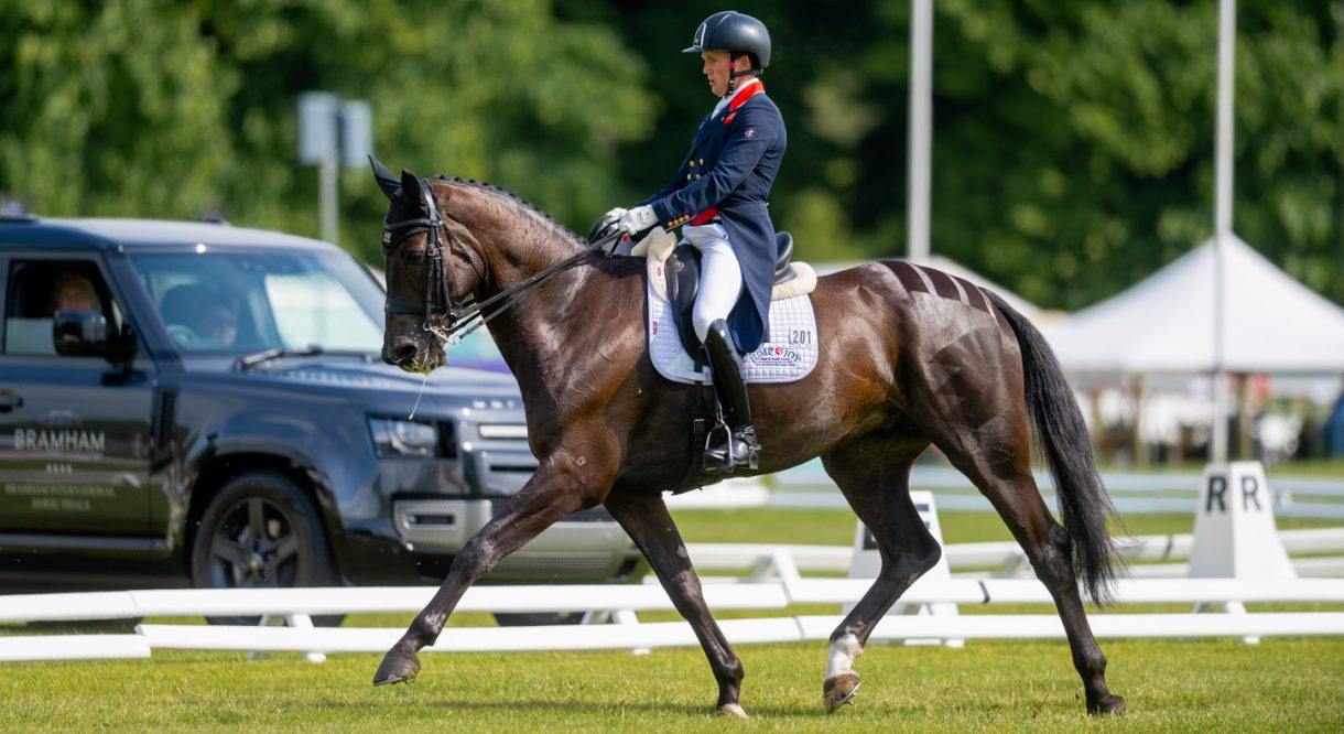 Bramham Horse Trials dressage: Tom McEwen heads CCI4*-S