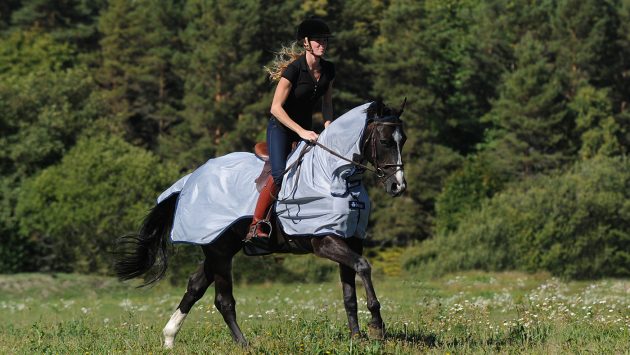 Best ride-on fly rugs for protection while hacking | Horse & Hound