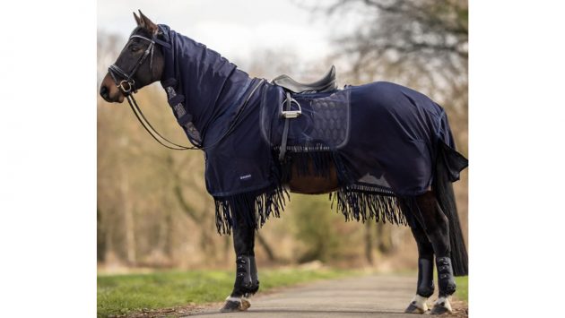 Best ride-on fly rugs for protection while hacking | Horse & Hound