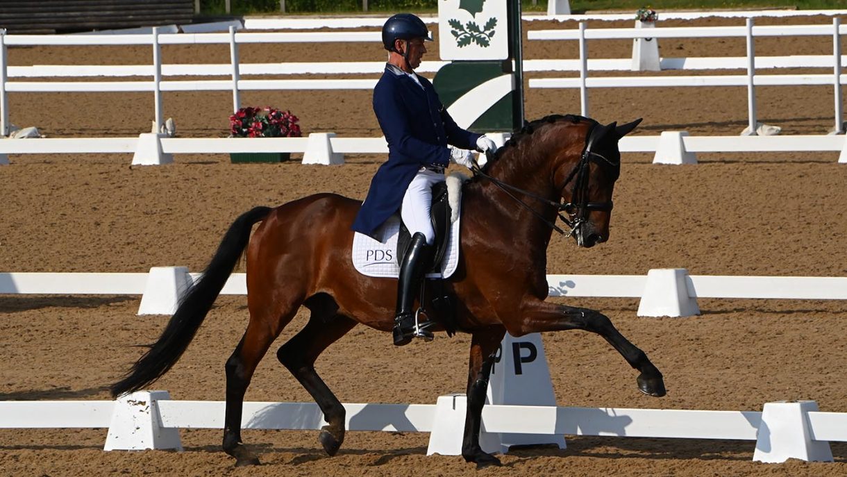 Carl Hester on Fame and En Vogue – how do his top horses compare?