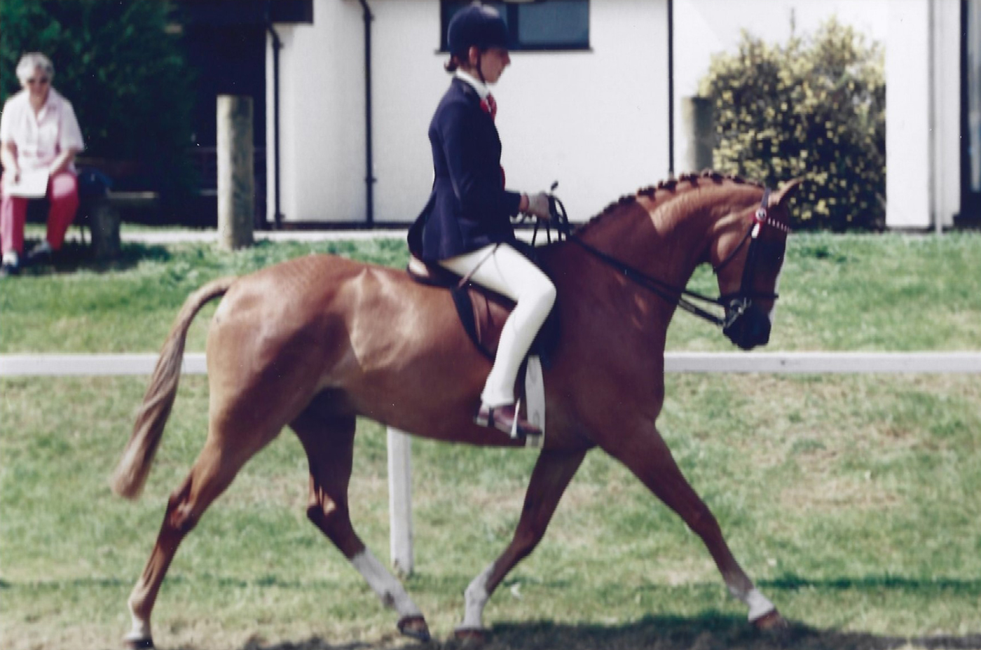 Stuart Hollings on the new intermediate show riding type qualifying system