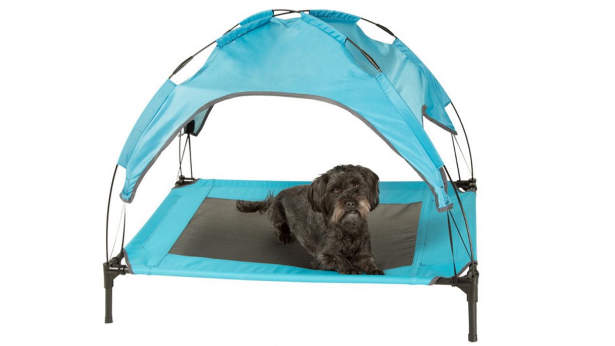 Best cooling dog beds for comfortable sleep in hot weather