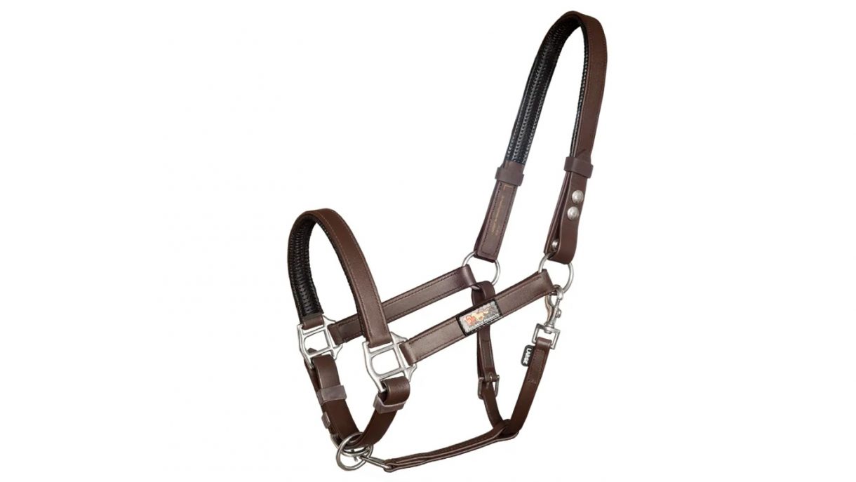 Best field safe headcollars designed for turnout | Horse & Hound