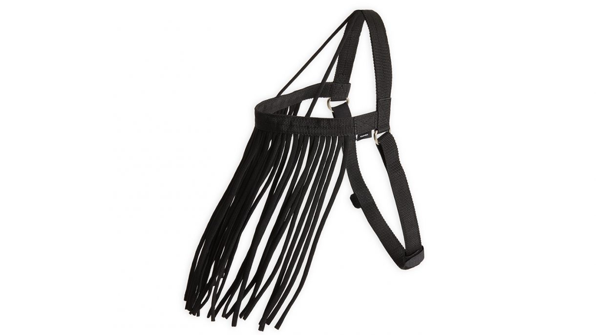 Best fly fringes for horses for turnout and riding | Horse & Hound