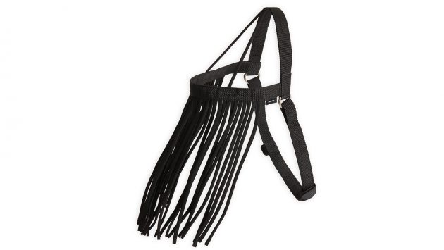 Best fly fringes for horses for turnout and riding | Horse & Hound