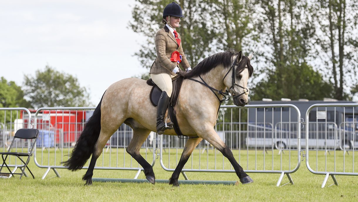 Behind the scenes with show producer Robert Walker- Horse & Hound
