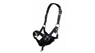 Best control headcollars for strong horses | Horse & Hound