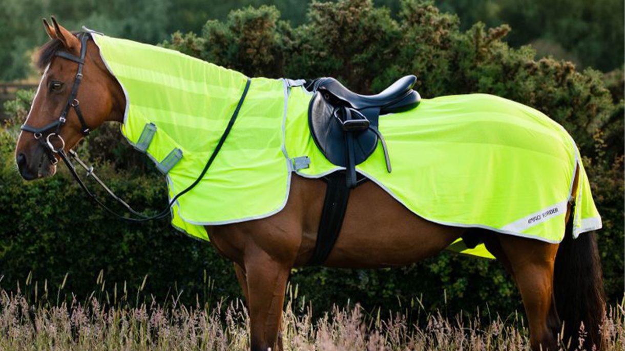 Best ride-on fly rugs for protection while hacking | Horse & Hound
