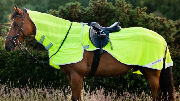 Best ride-on fly rugs for protection while hacking | Horse & Hound