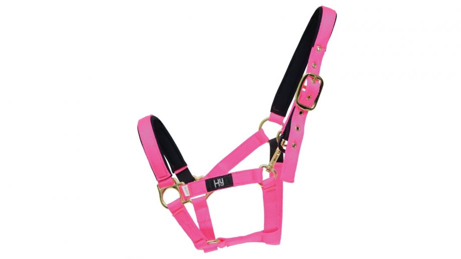 Best field safe headcollars designed for turnout | Horse & Hound