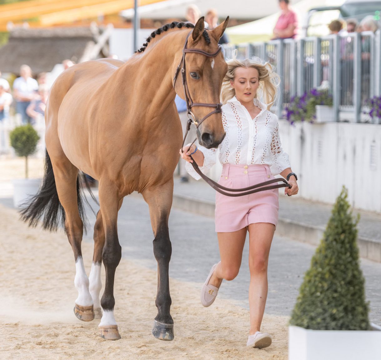 Luhmühlen Horse Trials first trot-up: three horses held and one withdrawn
