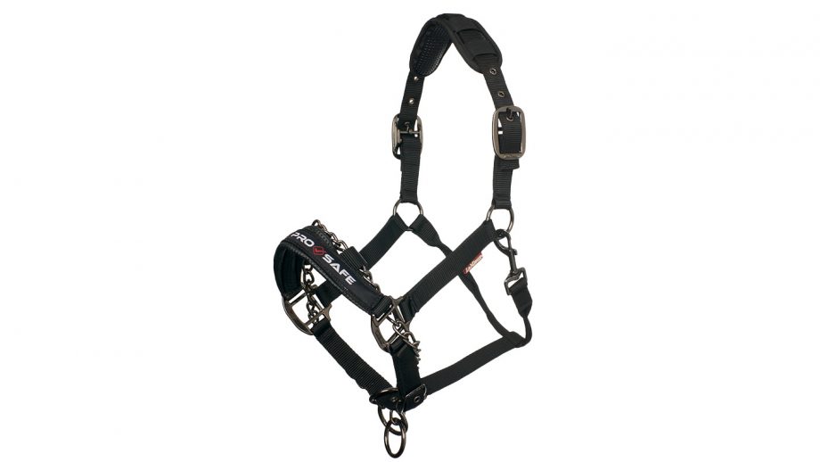 Best control headcollars for strong horses | Horse & Hound