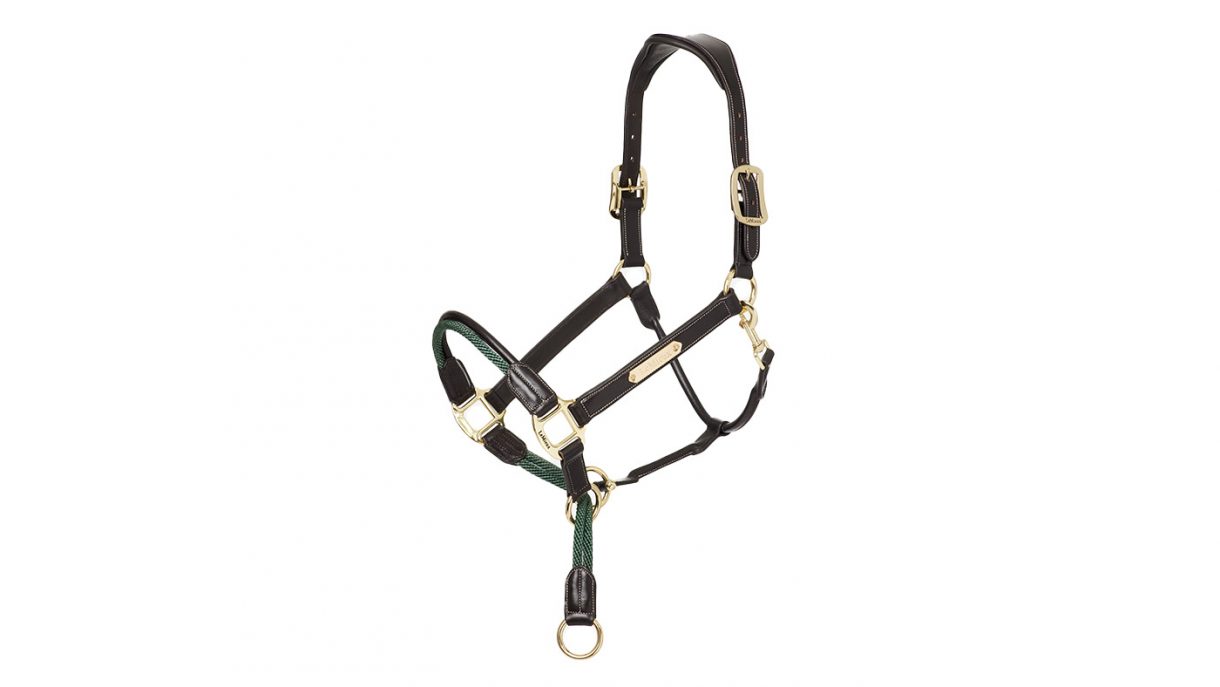 Best control headcollars for strong horses | Horse & Hound