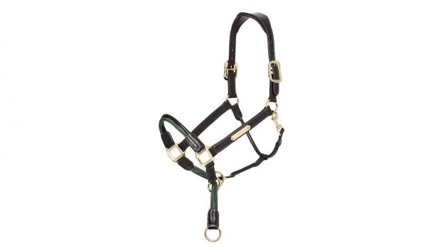Best control headcollars for strong horses | Horse & Hound