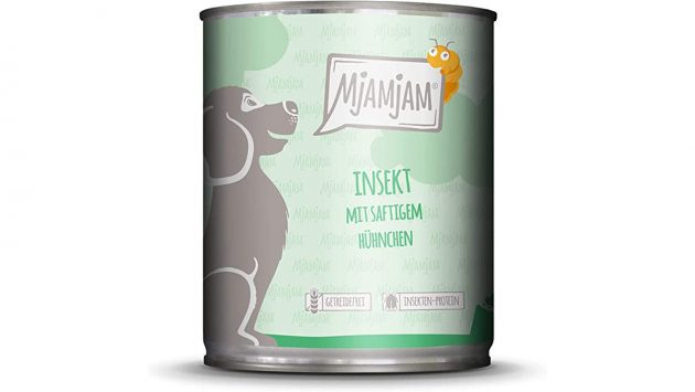 Best insect dog food: dry, wet and cold-pressed options