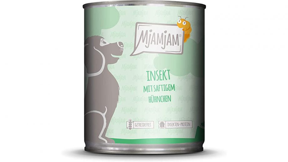 Best insect dog food: dry, wet and cold-pressed options