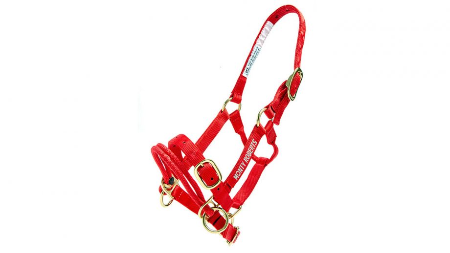 Best control headcollars for strong horses | Horse & Hound