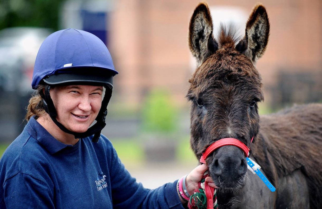 ‘I thought he’d died’: top vet team saves tiny donkey in five-hour operation - Horse & Hound
