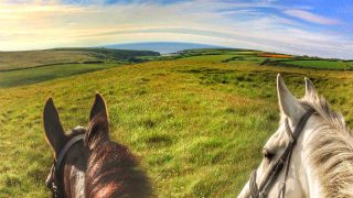 Best cameras for horse riding to capture video | Horse & Hound