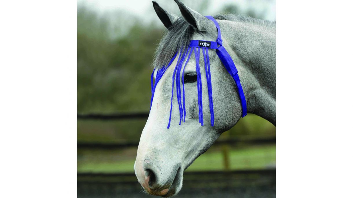 Best fly fringes for horses for turnout and riding | Horse & Hound