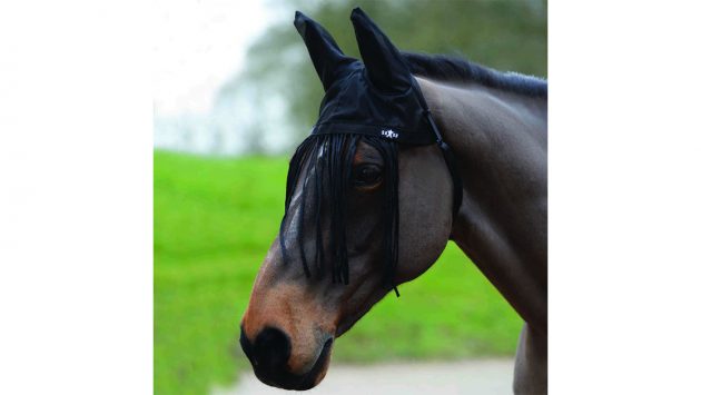 Best fly fringes for horses for turnout and riding | Horse & Hound