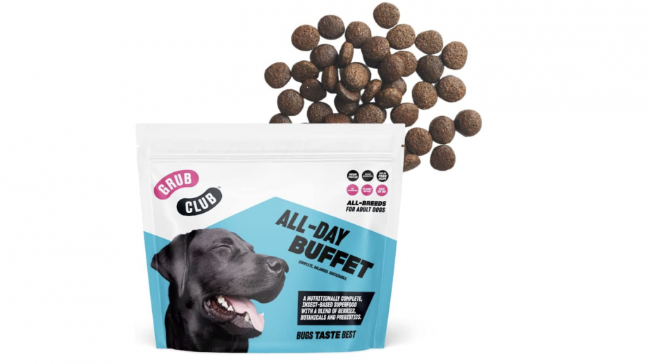 Best insect dog food: dry, wet and cold-pressed options