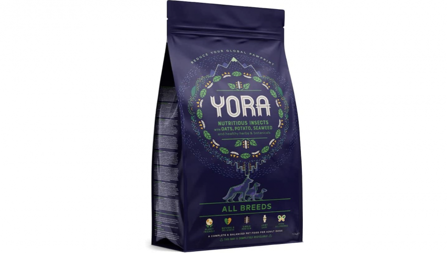 Best insect dog food: dry, wet and cold-pressed options