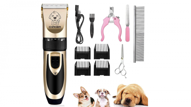 Best clippers for dogs: achieve the professional look at home