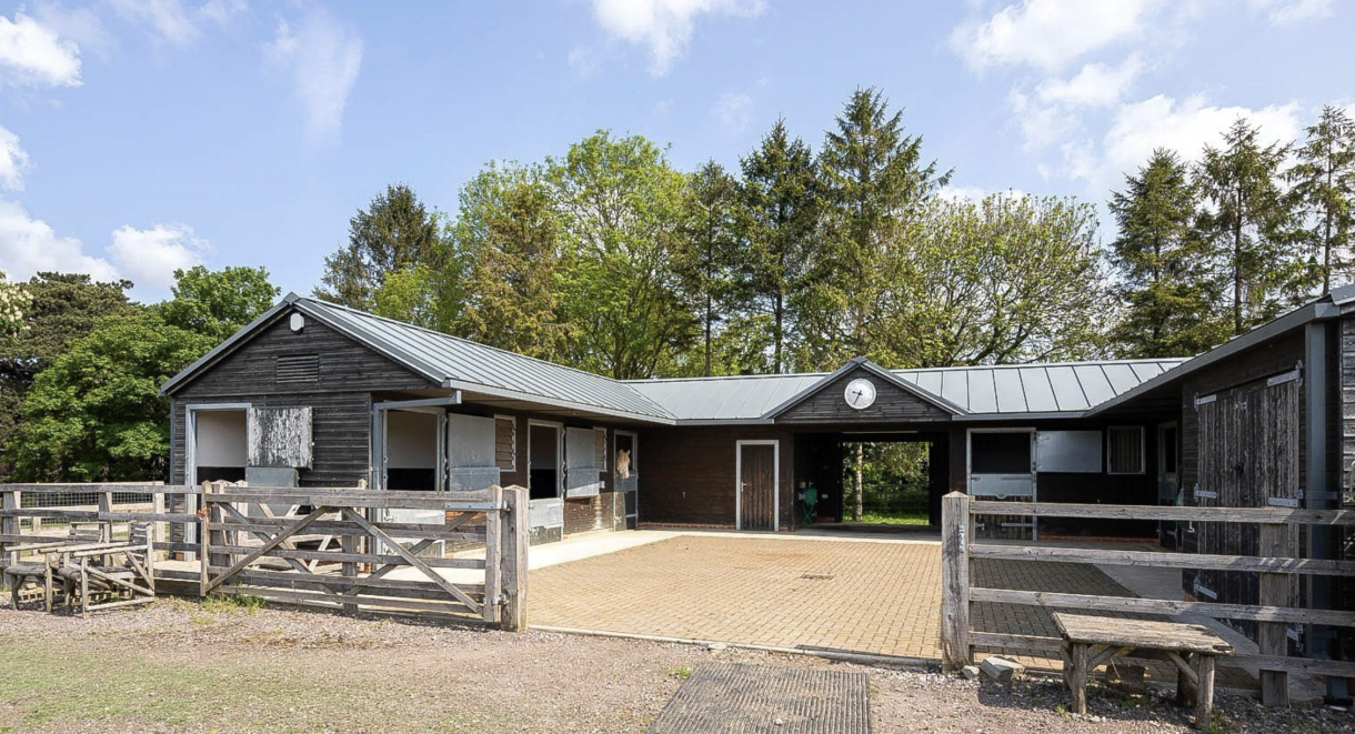 A slice of heaven for you and your horses: a beautiful house with 6 ...