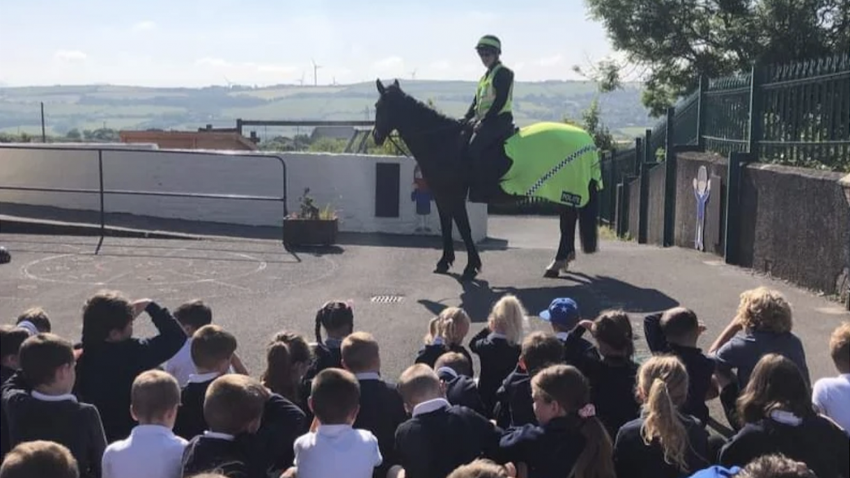 When a horse went to school: 25-year-old mare inspires potential young ...