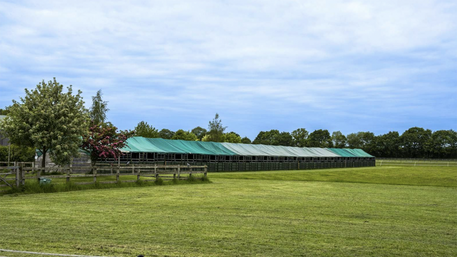 Holme Farm is on the market for £3.95M - Horse & Hound