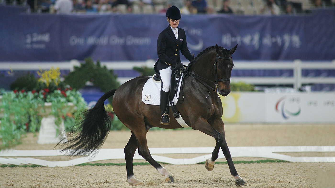 Alice New Star Dog Horse