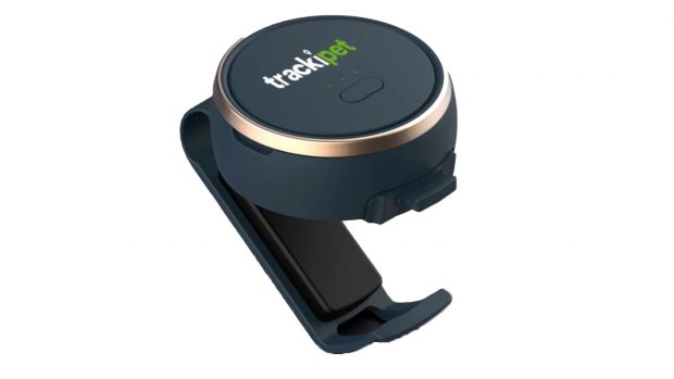 Best GPS trackers for dogs to keep tabs on your pooch | Horse & Hound