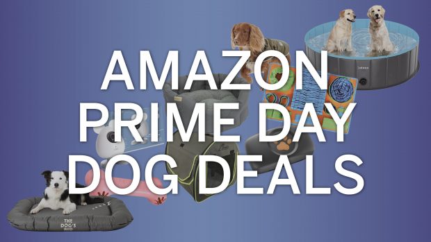 Amazon Prime Day deals for equestrians 2023 | Horse & Hound