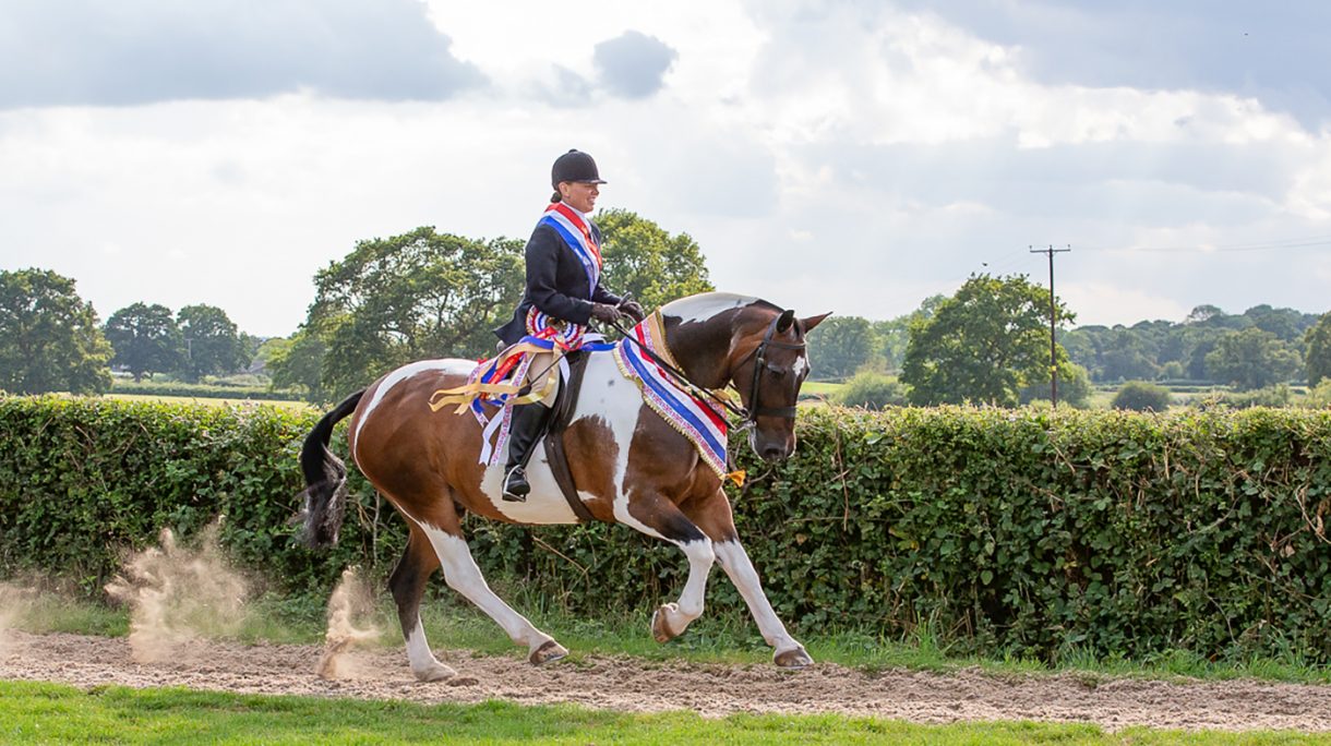 Coppinshill Commemoration is RIHS mini M&M supreme - Horse & Hound