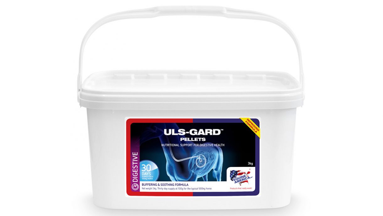 Best gastric supplements for horses to help balance pH | Horse & Hound