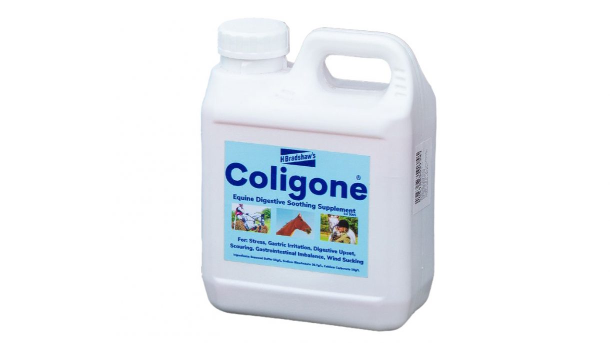 Best gastric supplements for horses to help balance pH | Horse & Hound