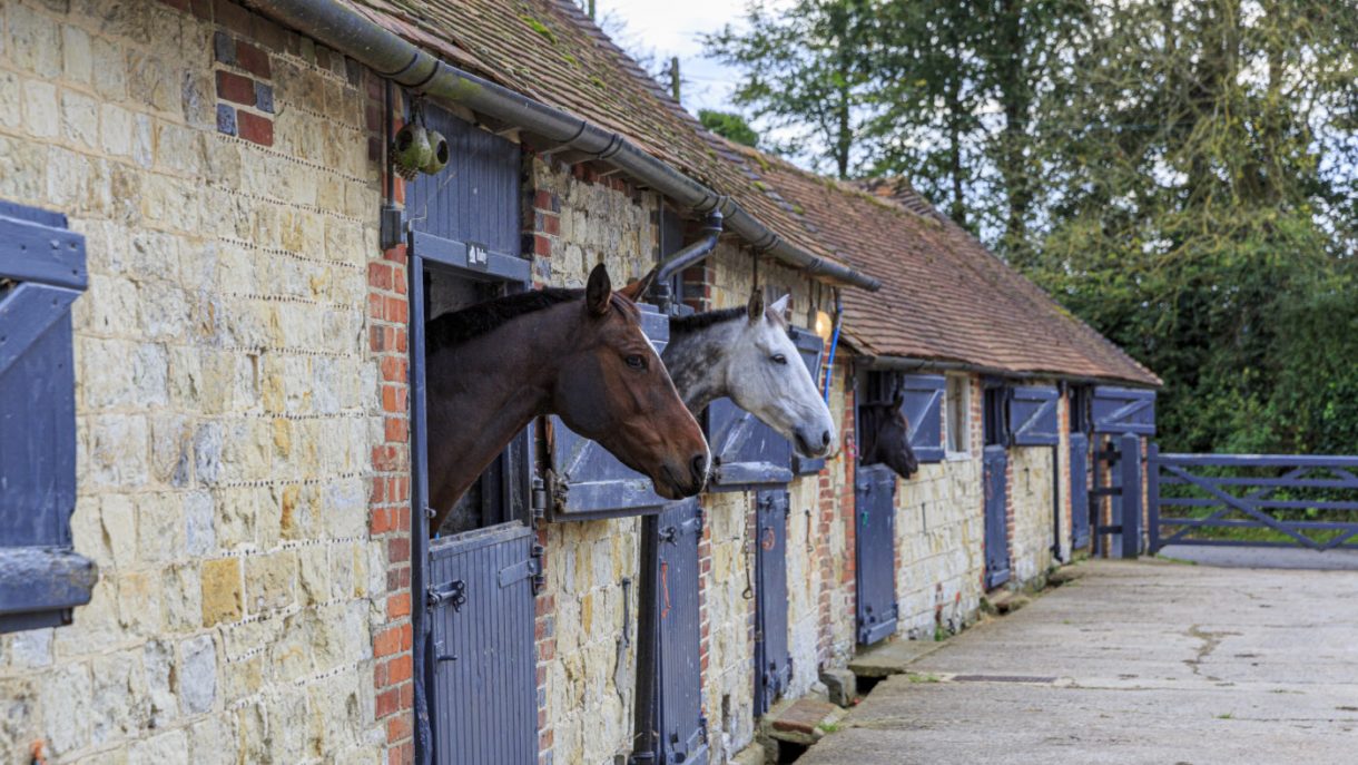 The H&H guide to types of livery - Horse & Hound