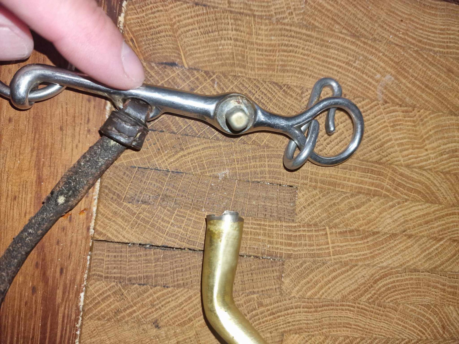 Bitless bridles: an introduction to going bitless | Horse & Hound